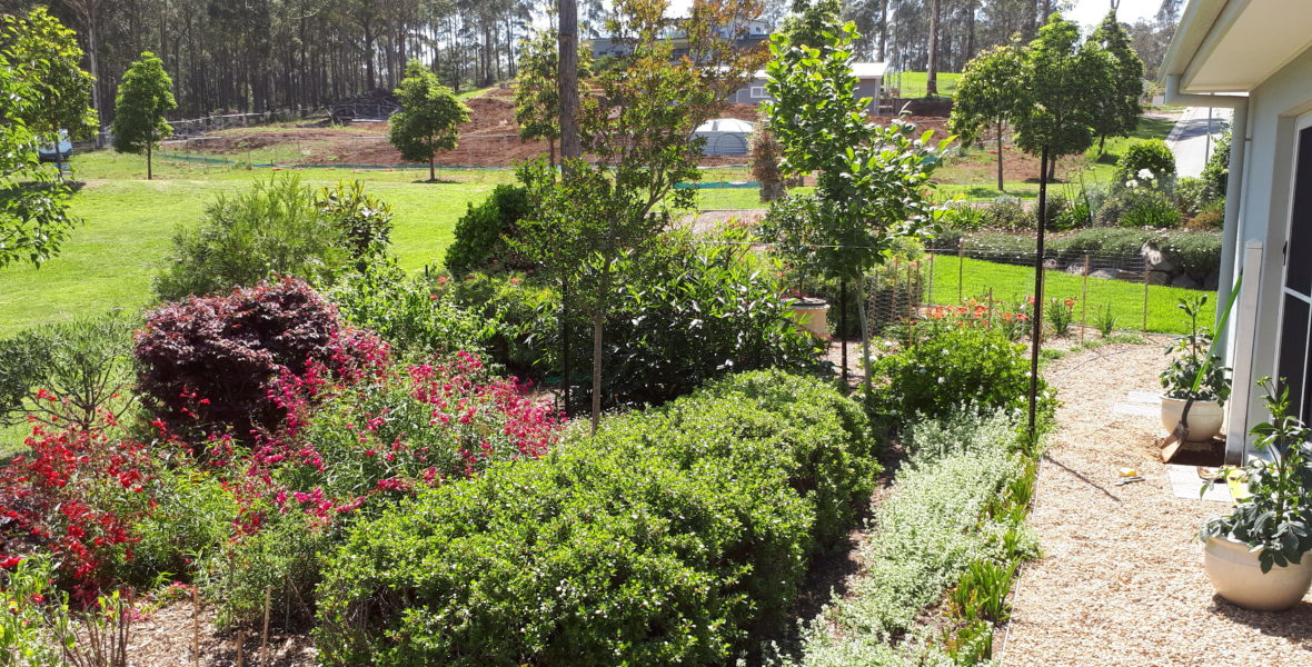 Landscape Gallery | Photos of designed and installed landscapes